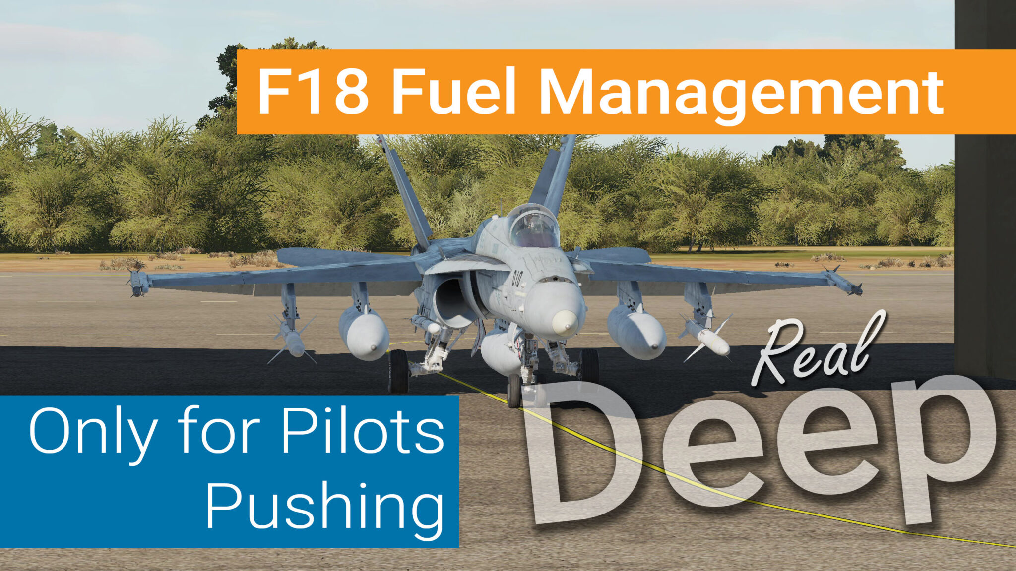 F/A 18 Hornet Tutorials – Fox 3 Simulations